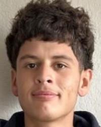 BoxRec: Diego Anthony Pulido