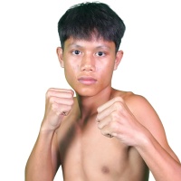 BoxRec: Minh Tuan Dinh