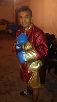 BoxRec: Javier Martinez Resendiz