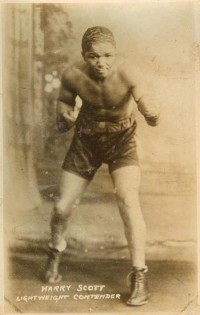 BoxRec: Harry Scott