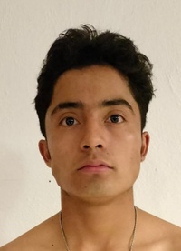 BoxRec: Leonides Ramos Olivares