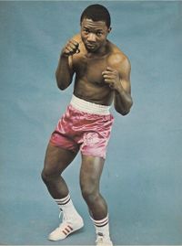 BoxRec: Norman Sekgapane