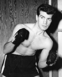 BoxRec: Joe Miceli