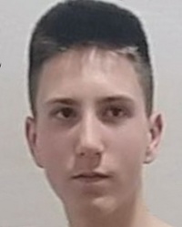 BoxRec: Rastko Simic