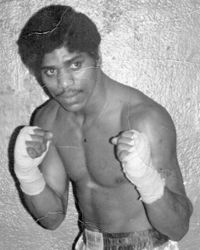 BoxRec: Willie Classen