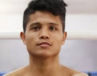 BoxRec: Robin Langres