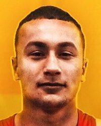 BoxRec: Darcy Coleman