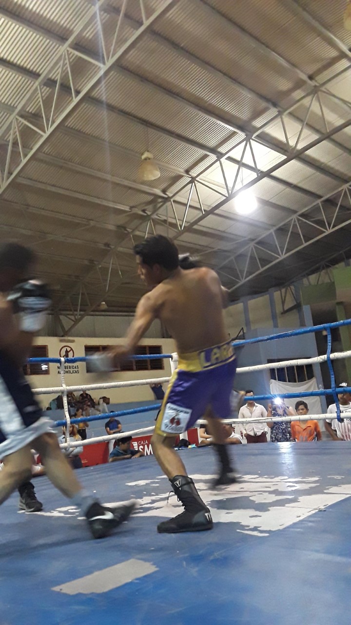 Show:785667 - BoxRec