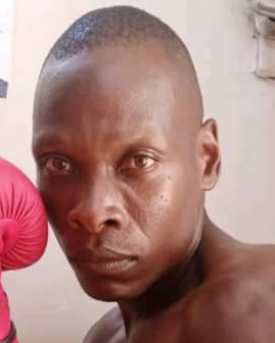 Stephen Woira - BoxRec