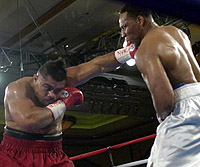 Category:Danell Nicholson Gallery - BoxRec