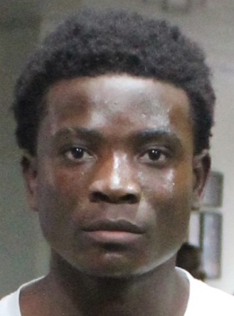 Johan Segura - BoxRec