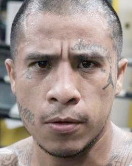 Jesus Delgado - BoxRec