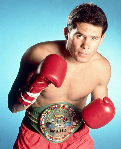 Julio Cesar Chavez - BoxRec