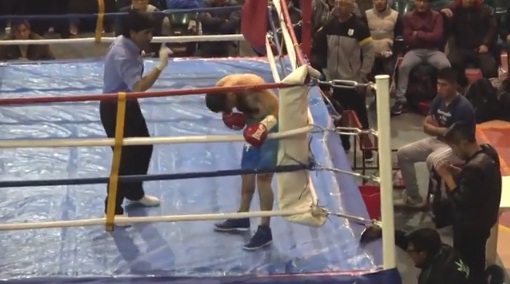 Ramon Averanga vs. Walter Rojas - BoxRec