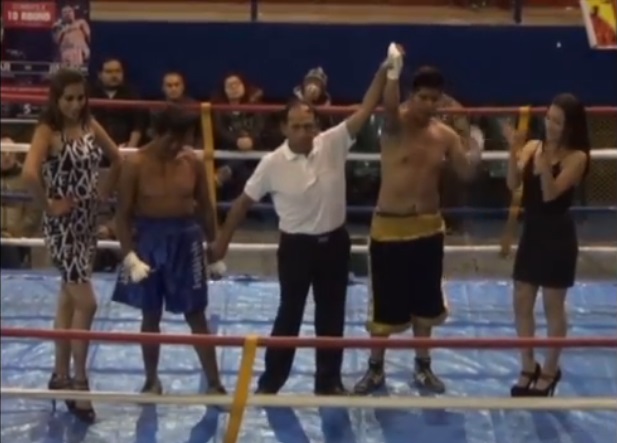 Show:774607 - BoxRec