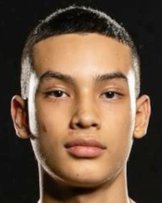 Miguel Estrada - BoxRec