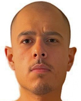 Simon Aristegui - BoxRec