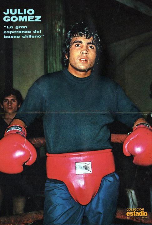 Julio Gomez Boxrec