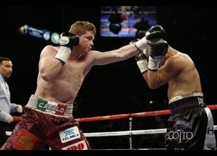 Saul Alvarez vs. Jose Miguel Cotto - BoxRec