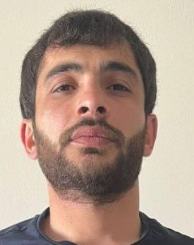 Ibrahim Panahli - BoxRec