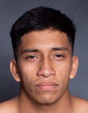 Mauricio Castro - BoxRec