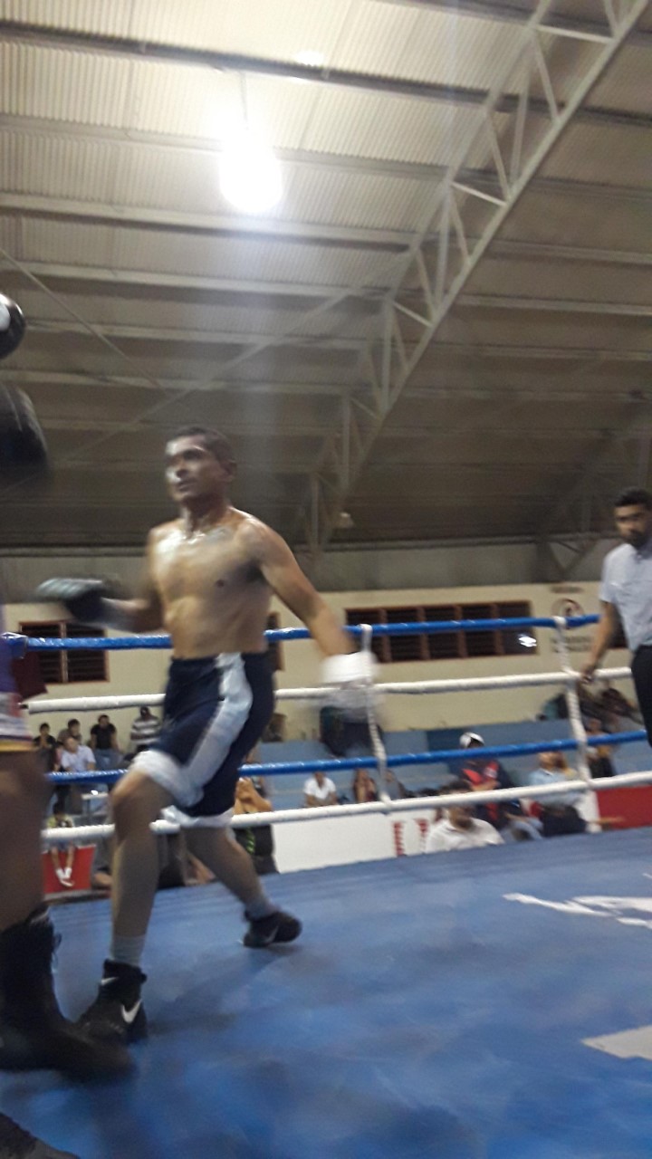 Show:785667 - BoxRec