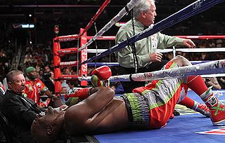 Bernard Hopkins vs. Chad Dawson - BoxRec