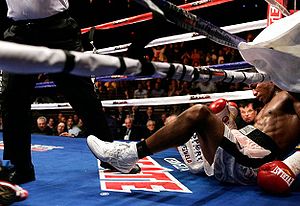 Miguel Acosta vs. Brandon Rios - BoxRec