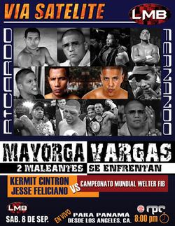 Fernando Vargas vs. Ricardo Mayorga - BoxRec