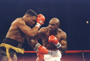 Evander Holyfield vs. Ray Mercer - BoxRec