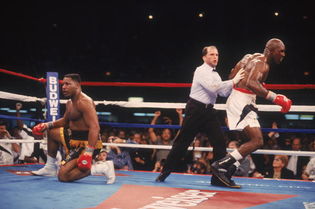 Evander Holyfield vs. Ray Mercer - BoxRec