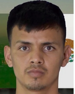 Hector Avila Lozano - BoxRec