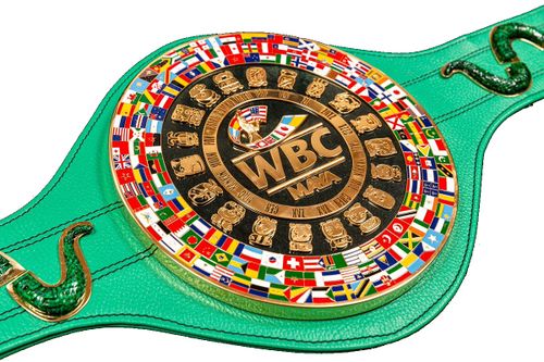 Tyson Fury vs. Otto Wallin - BoxRec